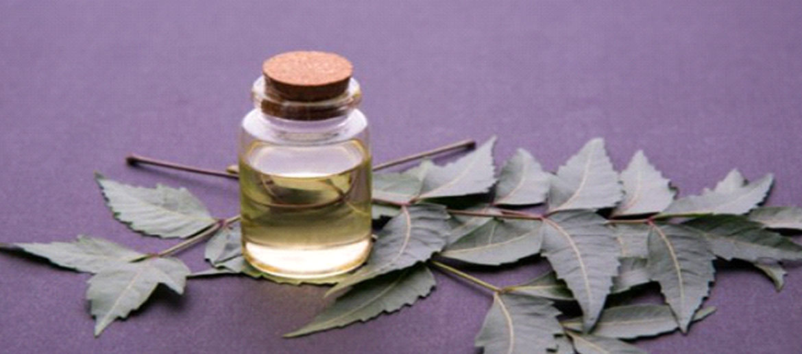 Neem Oil Manufacturer,Uses, Benefits and Side Effects, Mylal Exports